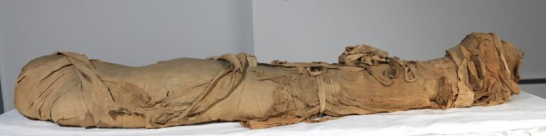 Oltre le bende: storia di un antico egiziano al Museo Civico ...